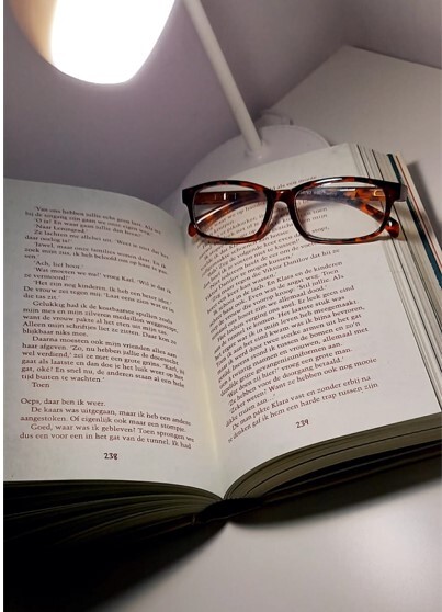 leesportfolio lore de nies